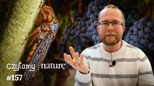 Skąd wino? - Po co chorujemy? - Snajper, który strzela moczem | Czytamy ...