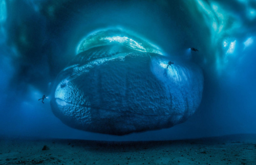 Lodowy olbrzym :snowflake::ocean: Wszyscy znają powiedzenie o ...