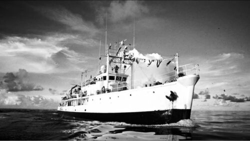 W związku z łał jakie zrobiła portugalska karaka swoim przekrojem, leci ...