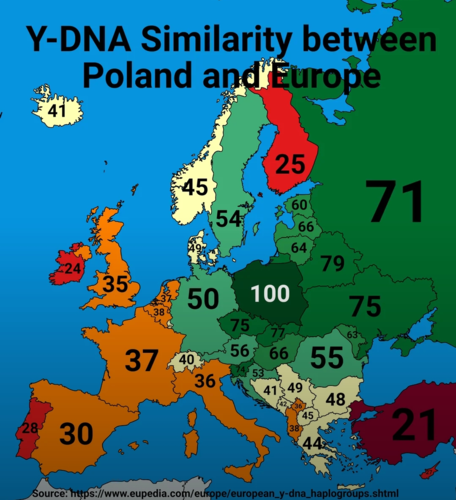 Podobieństwo genetyczne Polaków pomiędzy innymi europejskicmmi narodami ...