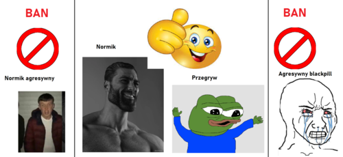 Trwa wewnętrzna walka o kreowanie portalu, dla kogo portal być powinien ...